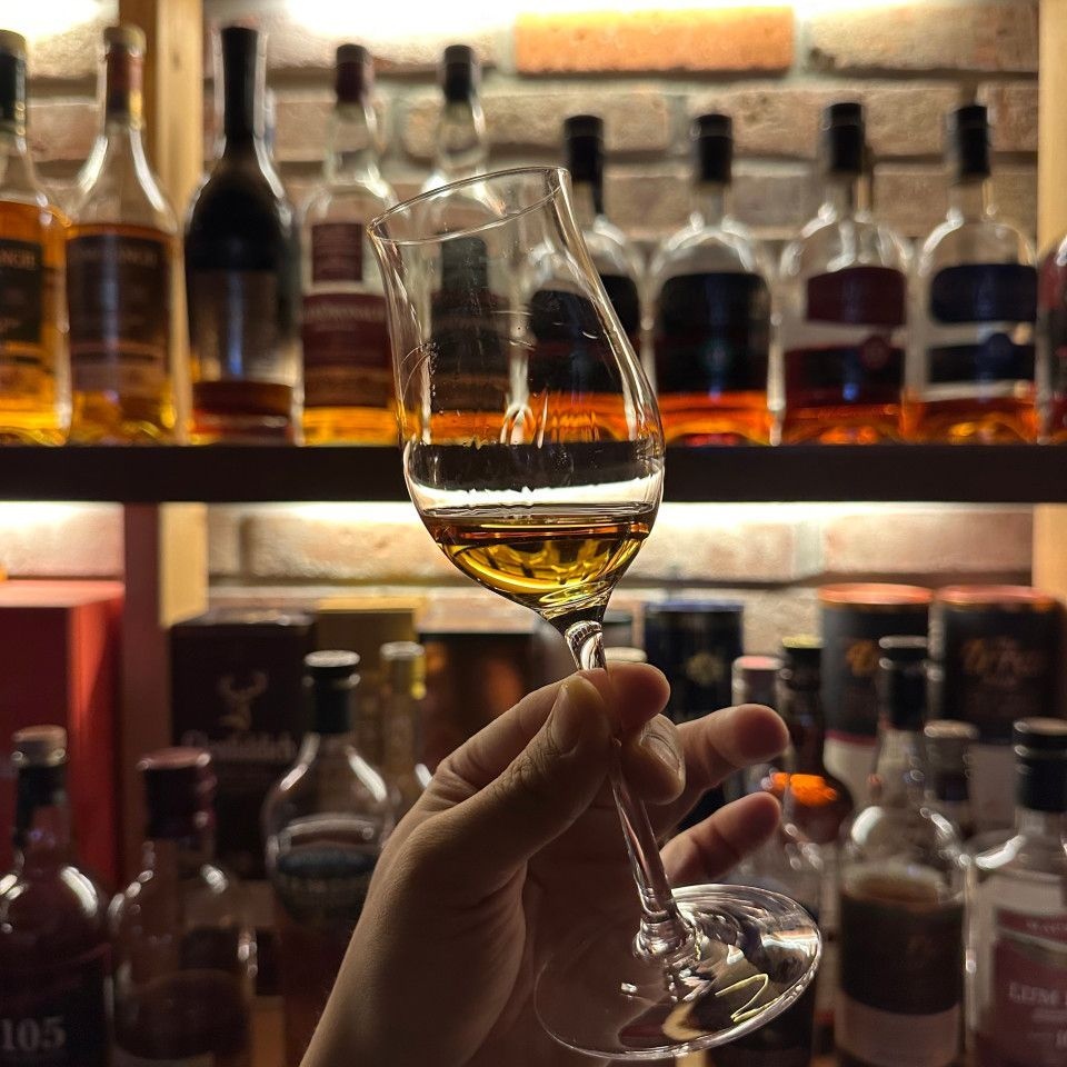 와인·양주·칵테일잔 리퍼 뉴튤립 위스키 노징글라스 싱글몰트잔 170ml 오늘의집 쇼핑