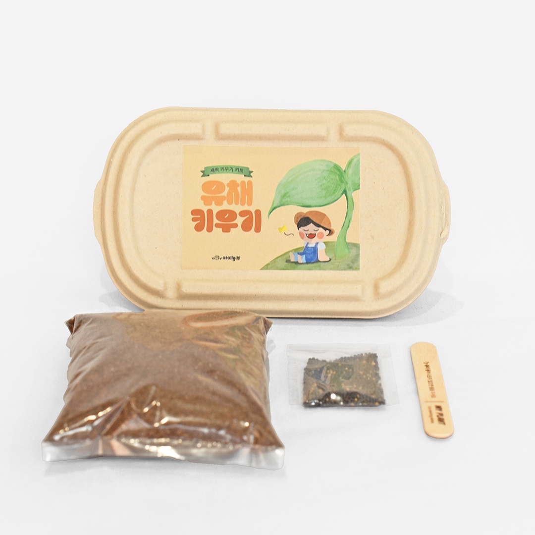 식물 아이농부 새싹재배 유채 키우기 원예키트 오늘의집 쇼핑