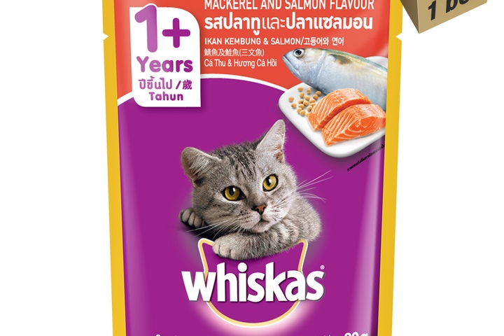 고양이 사료·간식 고양이사료 파우치 팩 1 Box 80g X144 고등어 구운고등어 연어 참치 오늘의집 쇼핑