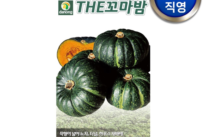 식물 The 꼬마 밤호박 씨앗 1000립 미니 단 호박 채소 텃밭 파종 재배 씨 종자 오늘의집 쇼핑