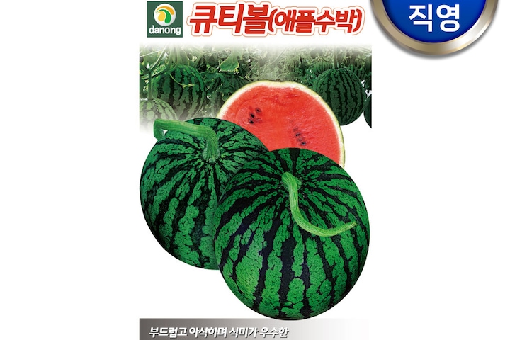 식물 큐티볼 애플수박 씨앗 100립아삭한 미니 작은 수박 채소 식물 키우기 씨 종자 오늘의집 쇼핑
