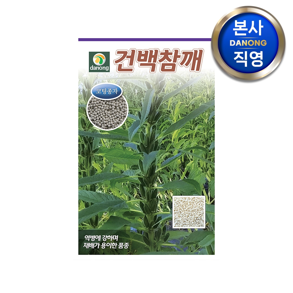 식물 건백 참깨 코팅 종자 씨앗 20000립 채소 텃밭 파종 재배 씨 종자 오늘의집 쇼핑