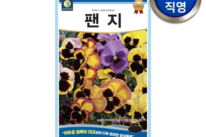 식물 팬지 씨앗 200립 비올라 혼합 야생화 꽃 식물 꽃밭 화단 정원 꽃씨 종자 오늘의집 쇼핑