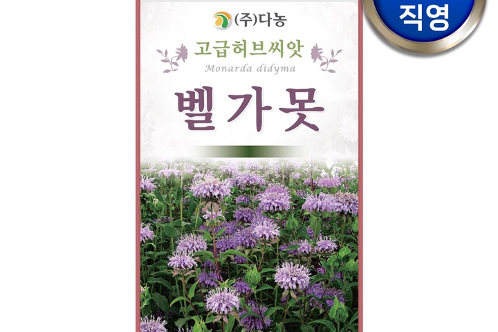 식물 벨가못 씨앗 10g 베르가못 벨가못트 버가못 모나르다 허브 키우기 꽃씨 종자 오늘의집 쇼핑