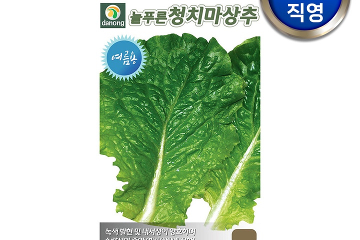 식물 늘푸른여름 청치마 상추 씨앗 3g 야채 채소 텃밭 재배 파종 씨 종자 오늘의집 쇼핑