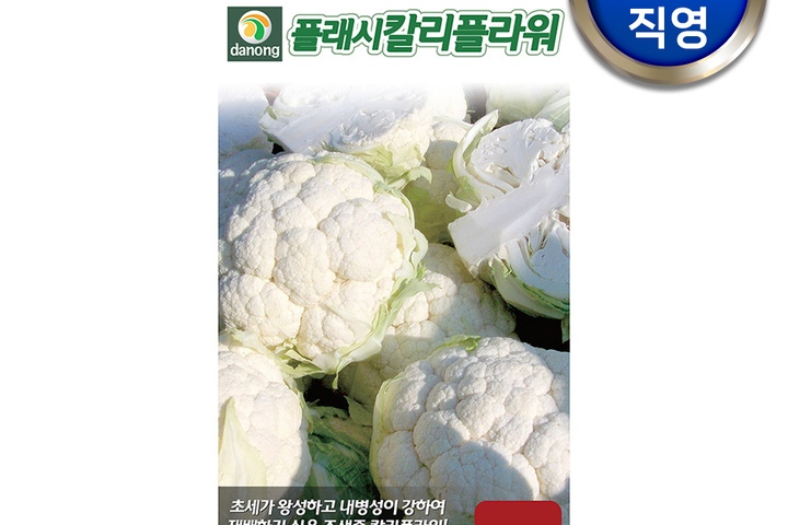 식물 플래시 칼리 플라워 씨앗 100립 콜리플라워 채소 텃밭 파종 씨 종자 오늘의집 쇼핑