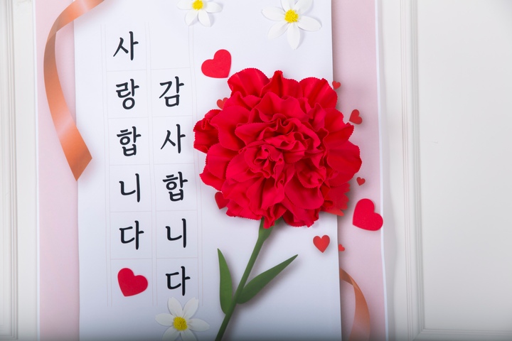 파티·이벤트용품 어버이날스승의날부모님생신칠순팔순현수막입체꽃포토월대형카네이션 가정의달포토존장식행사 오늘의집 쇼핑