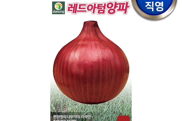 식물 레드아텀 양파 씨앗 1g 중만생종 적양파 채소 씨 종자 주말 농장 텃밭 재배 오늘의집 쇼핑