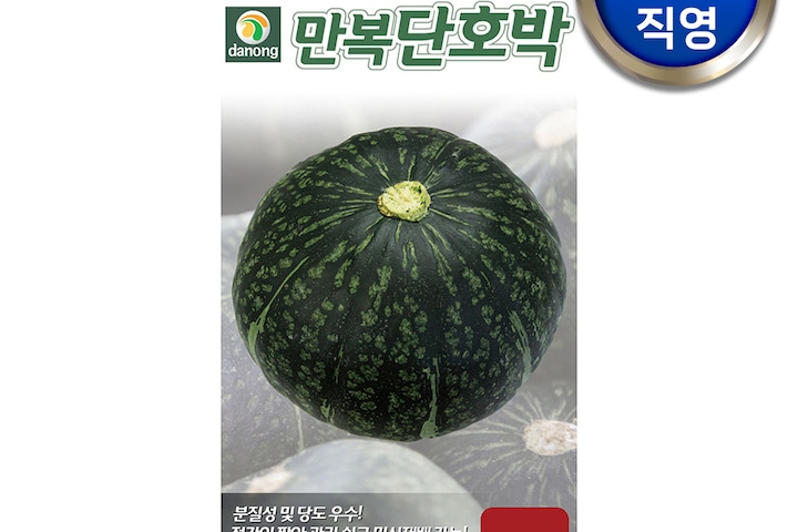 식물 만복 단호박 씨앗 20립 야채 채소 텃밭 파종 재배 주말 농장 씨 종자 오늘의집 쇼핑