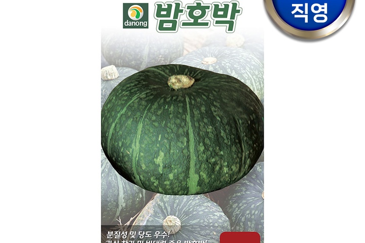 식물 밤단 호박 씨앗 2000립 야채 채소 텃밭 파종 재배 주말 농장 씨 종자 오늘의집 쇼핑