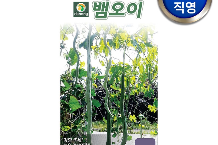 식물 뱀오이 씨앗 5립 야채 채소 텃밭 파종 재배 주말 농장 씨 종자 오늘의집 쇼핑