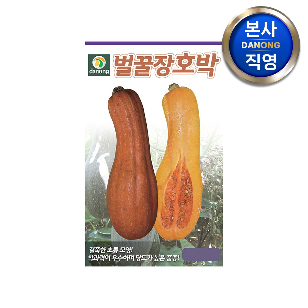 식물 벌꿀장 호박 씨앗 30립 야채 채소 텃밭 파종 재배 주말 농장 씨 종자 오늘의집 쇼핑