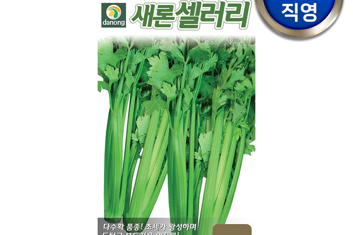식물 새론 셀러리 씨앗 3000립 야채 채소 텃밭 파종 재배 주말 농장 씨 종자 오늘의집 쇼핑