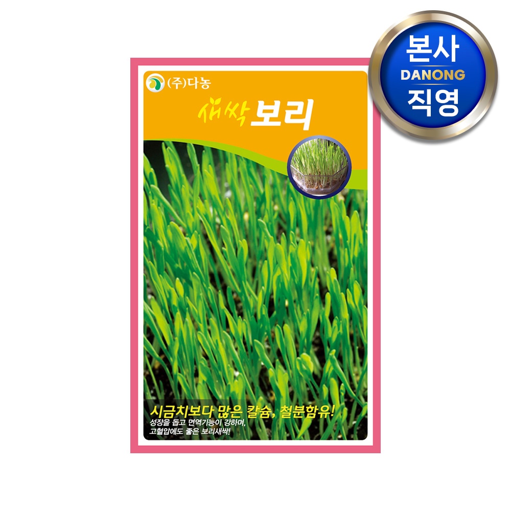 식물 새싹 보리 씨앗 1kg 무소독 채소 수경 재배 씨 종자 오늘의집 쇼핑