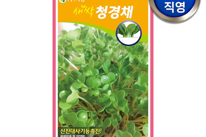 식물 새싹 청경채 씨앗 12g 무소독 채소 수경 재배 씨 종자 오늘의집 쇼핑