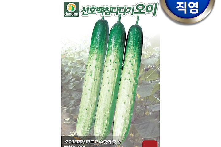 식물 선호백침다다기 오이 씨앗 50립 채소 텃밭 재배 주말 농장 파종 씨 종자 오늘의집 쇼핑