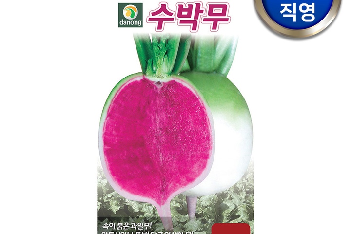 식물 수박무 씨앗 100립 과일 빨간 붉은 글루코시 무우 주말 농장 텃밭 씨 종자 오늘의집 쇼핑