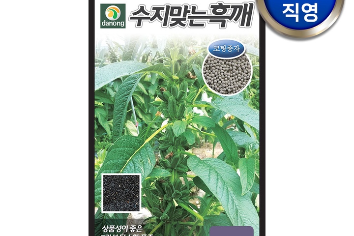 식물 수지맞는 흑깨 씨앗 코팅 종자 3000립 검은 채소 소분지형 씨 종자 텃밭 오늘의집 쇼핑