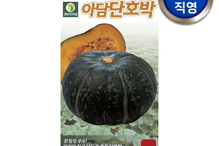 식물 아담 단호박 씨앗 30립 야채 채소 텃밭 파종 재배 주말 농장 씨 종자 오늘의집 쇼핑
