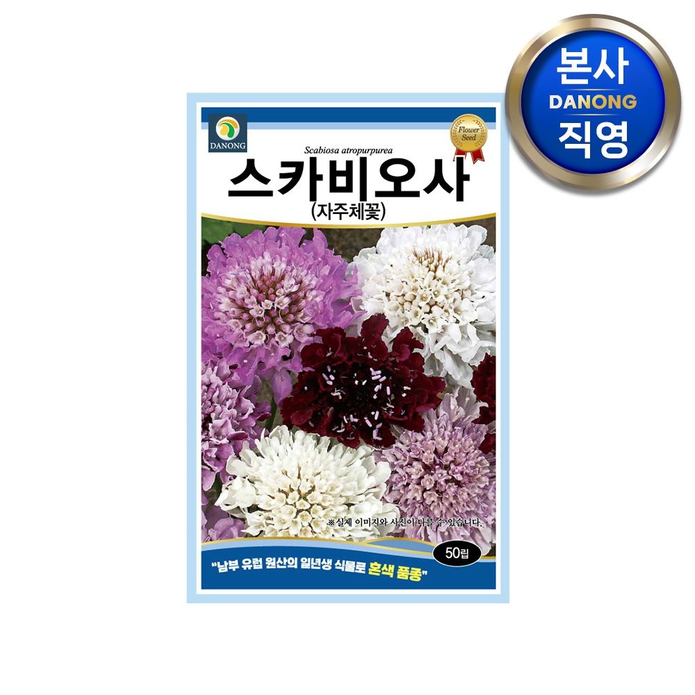 식물 스카비오사 자주체꽃 씨앗 50립 서양솔채꽃 혼색종 일년생 야생화 꽃 꽃씨 종자 오늘의집 쇼핑