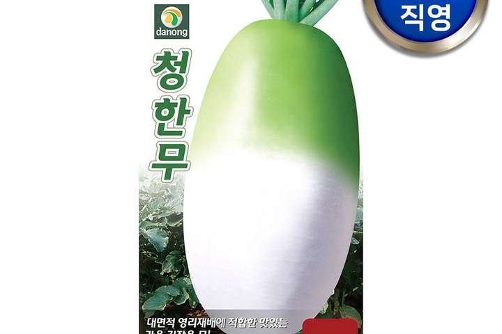 식물 청한무 씨앗 1000립 야채 채소 무우 가을 파종 김장 텃밭 재배 씨 종자 오늘의집 쇼핑