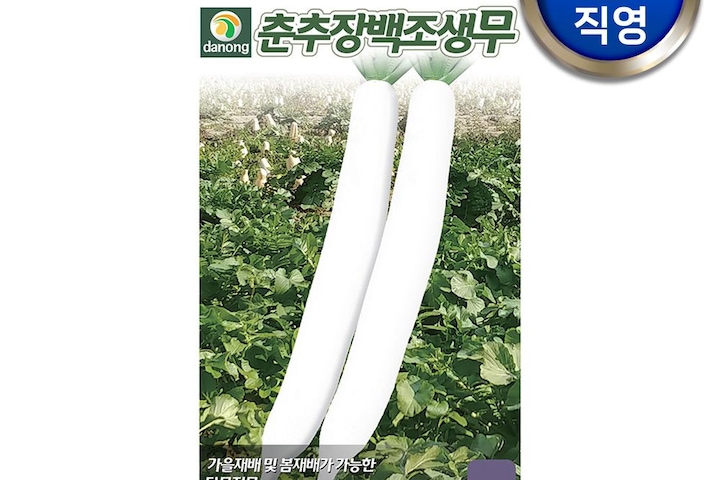 식물 춘추장백 조생무 씨앗 30g 단무지무 채소 무우 봄 가을 파종 텃밭 씨 종자 오늘의집 쇼핑