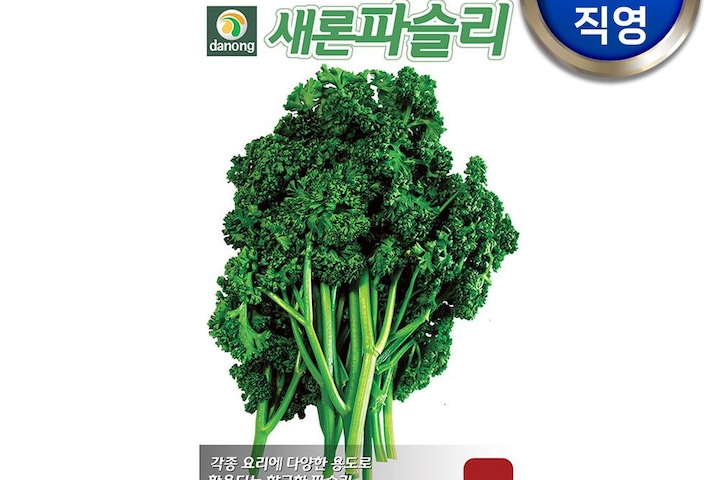 식물 파슬리 파세리 허브 씨앗 40g 야채 채소 텃밭 재배 파종 씨 종자 오늘의집 쇼핑