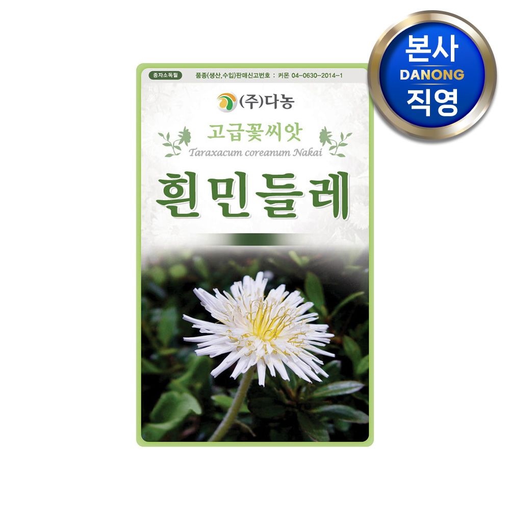 식물 흰민들레 씨앗 100립 야채 채소 텃밭 파종 재배 주말 농장 씨 종자 오늘의집 쇼핑