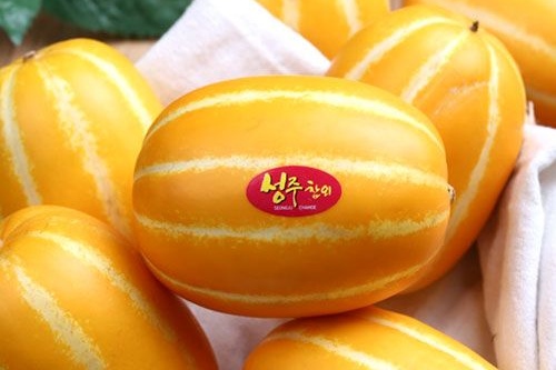 과일 경북 성주참외 고당도 가정용 꿀참외 꼬마 못난이 선물용 오늘의집 쇼핑