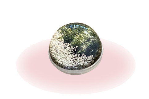 휴대폰액세서리 > Marble Tok - Bush 반구 아크릴그립톡 | 오늘의집 쇼핑