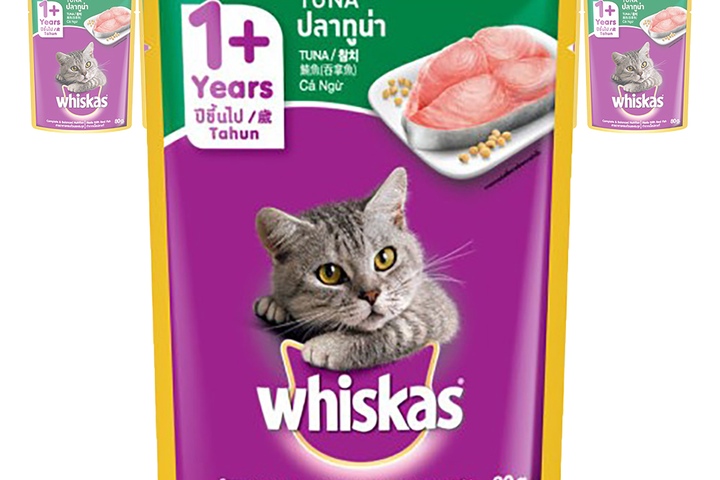 고양이 사료·간식 참치 70g X 12개 오늘의집 쇼핑