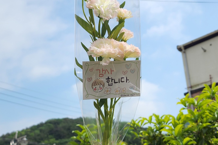 꽃다발·플라워박스 한송이 카네이션 조화 부케 오늘의집 쇼핑