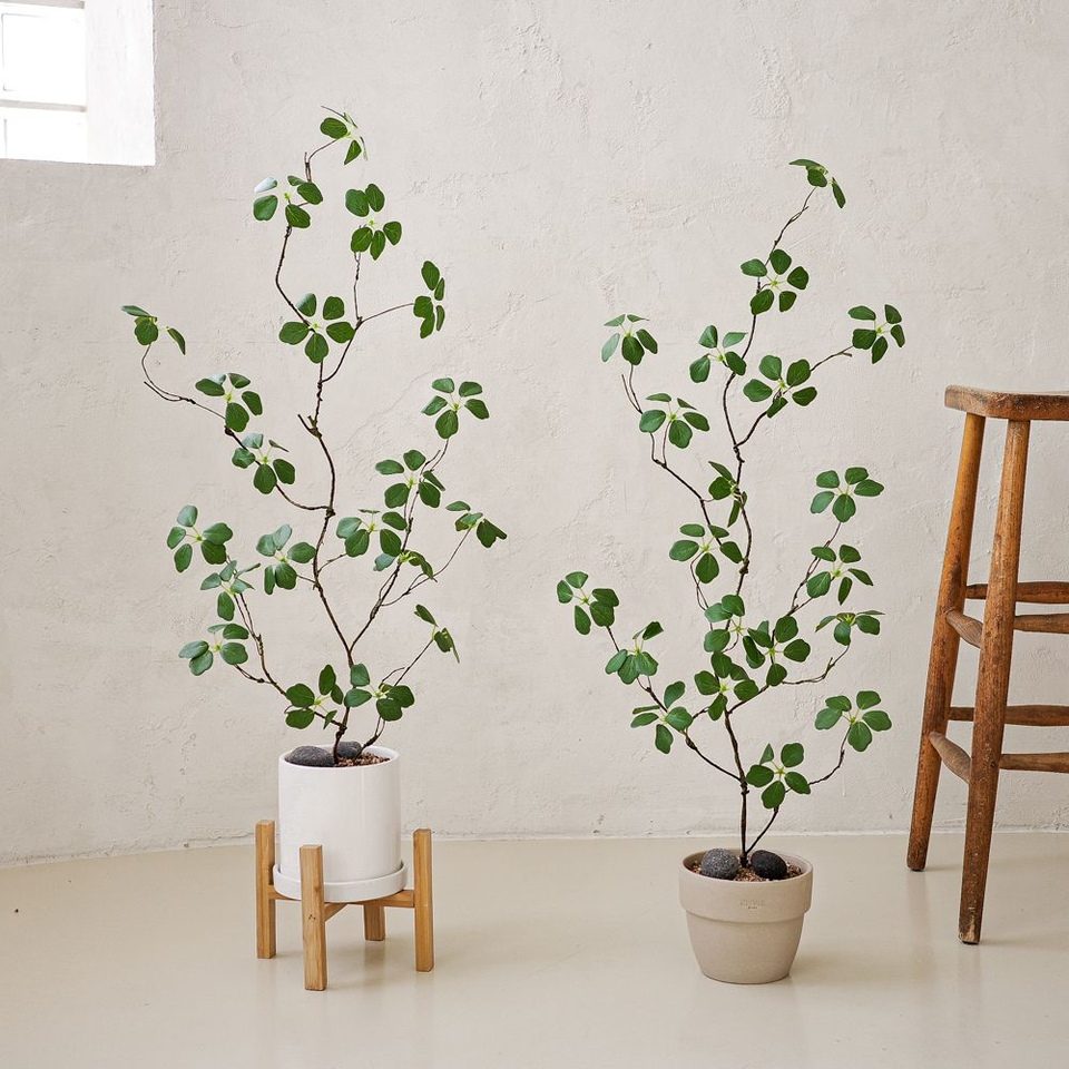 조화 > 와이어 롱 엔카이셔스 조화 나무 플라워 꽃 화분 3type | 오늘의집 쇼핑