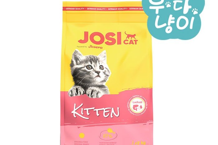 고양이 사료·간식 요시 캣 키튼 19kg 고양이사료 오늘의집 쇼핑