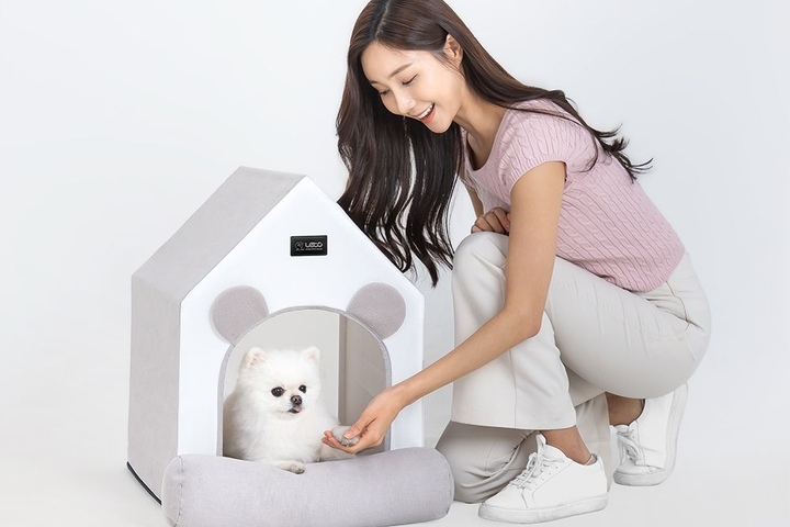 강아지 리빙 강아지집 사계절 고양이집 숨숨집 대형 하우스 오늘의집 쇼핑