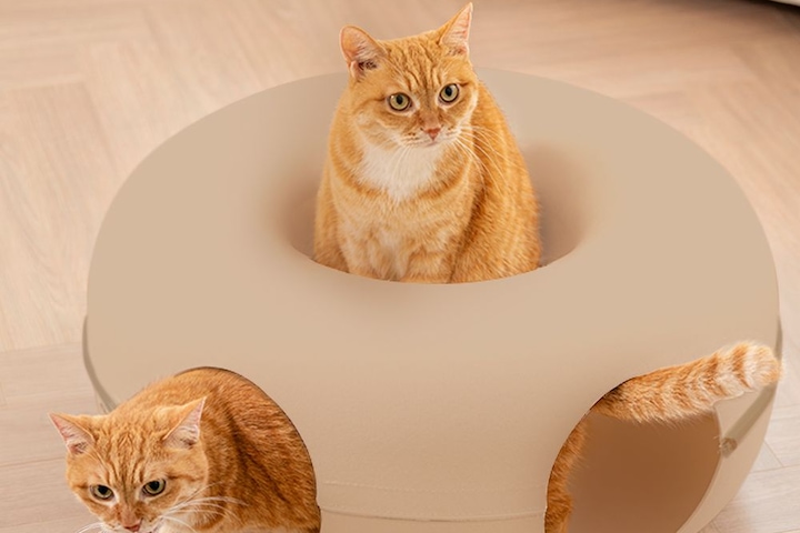 고양이 리빙 도넛 고양이 터널 숨숨집 하우스 오늘의집 쇼핑