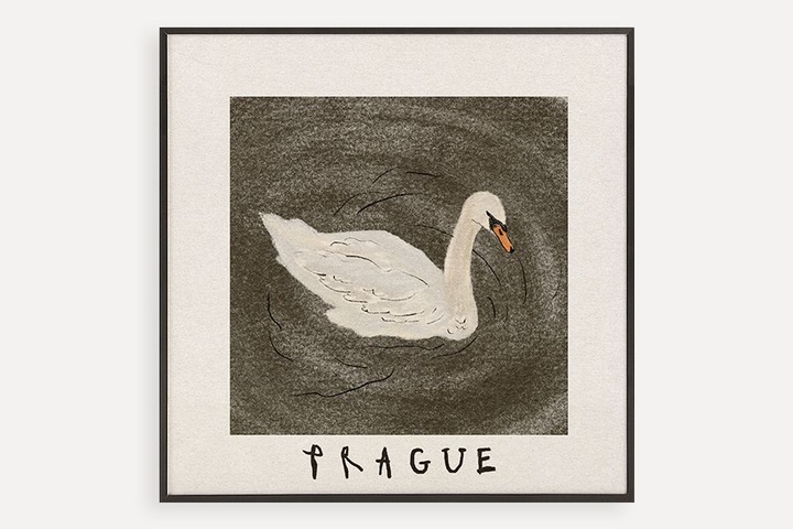그림·사진 White Swan 유비파이 아트 프린트 오늘의집 쇼핑