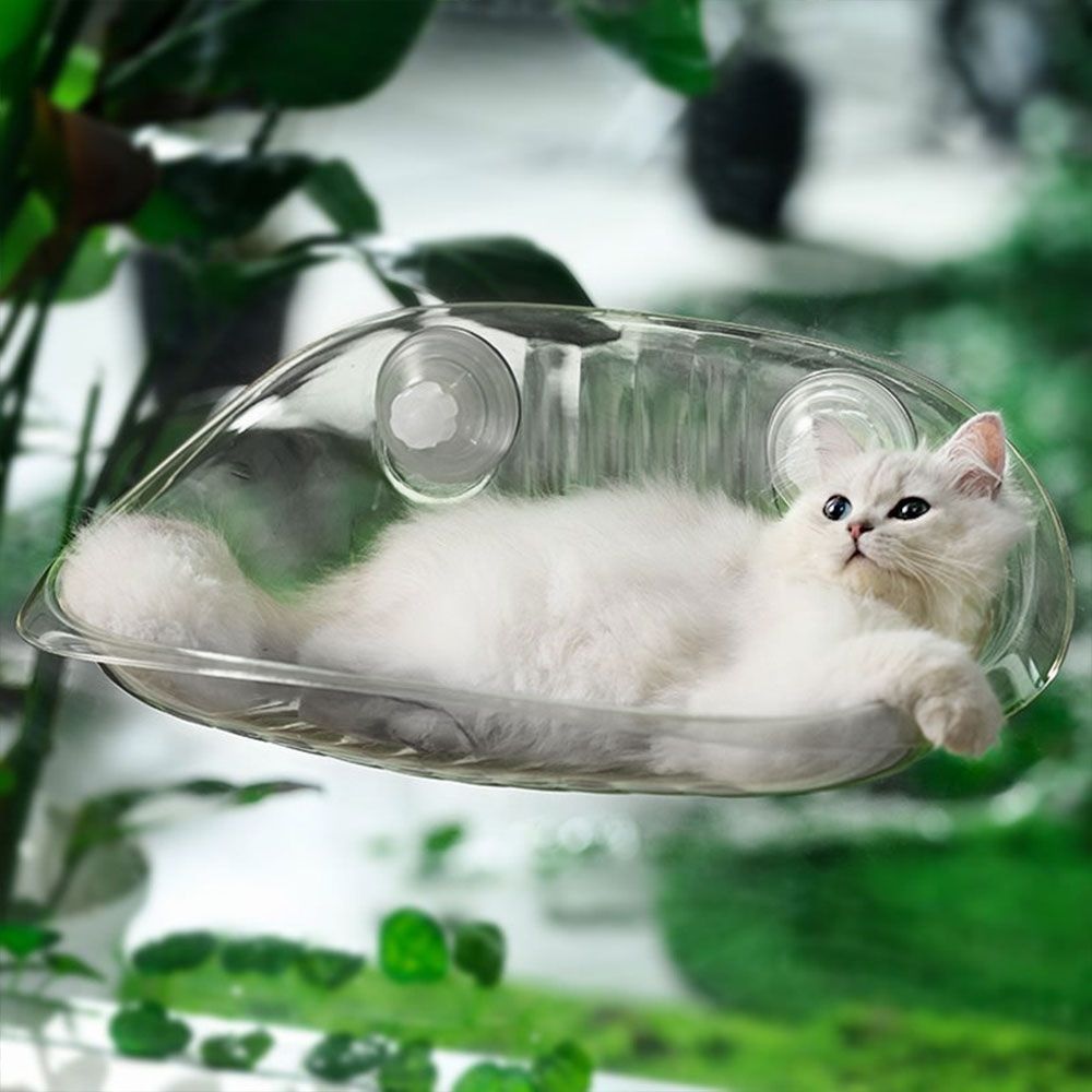 고양이 리빙 클리어 투명 해먹 오늘의집 쇼핑