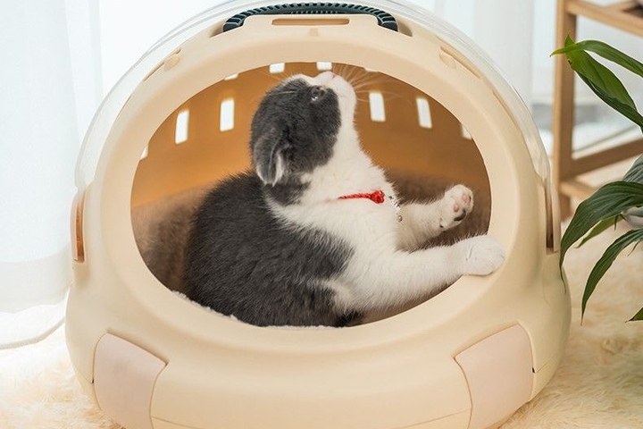 고양이 패션·외출 고양이 강아지 우주선 켄넬 이동장 캐리어 3color 오늘의집 쇼핑