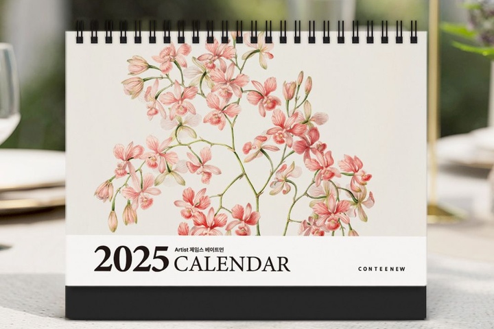 디자인문구 2025년 베이트먼 B 탁상 아트 캘린더 달력 오늘의집 쇼핑
