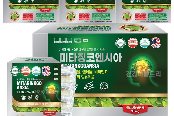 건강기능인증 미국 미타징코엔시아 120캡슐x4박스 은행잎추출물 영양제 오늘의집 쇼핑
