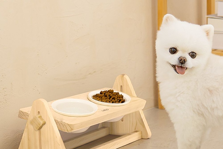 강아지 리빙 원목 강아지 밥그릇 고양이 물그릇 식탁 식기 세트 각도 높이조절 오늘의집 쇼핑