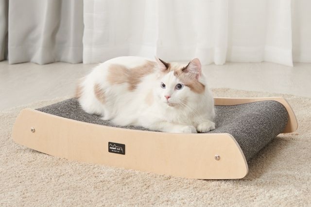 고양이 리빙 고양이 스크래처 스윙스크래처 오늘의집 쇼핑
