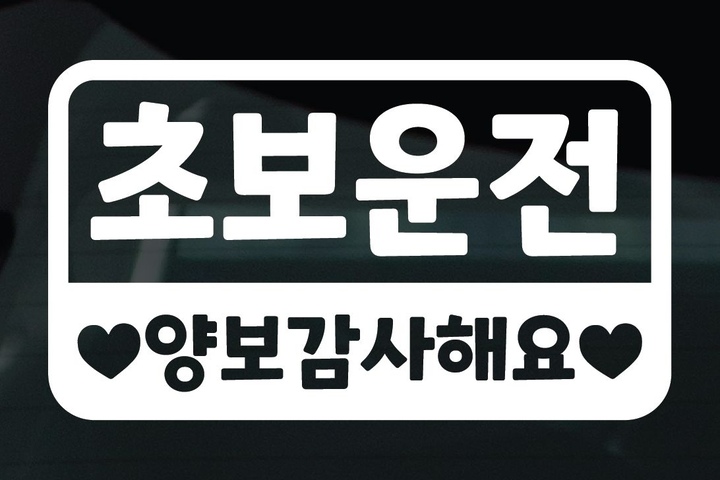 익스테리어용품 초보운전 스티커 차량 자동차 데칼 시트지 21 초보운전양보감사해요 오늘의집 쇼핑