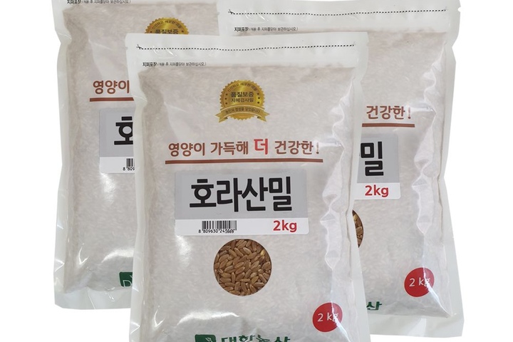 쌀·채소 호라산밀 6kg 2kgx3봉 수입 고대곡물 이집트쌀 오늘의집 쇼핑