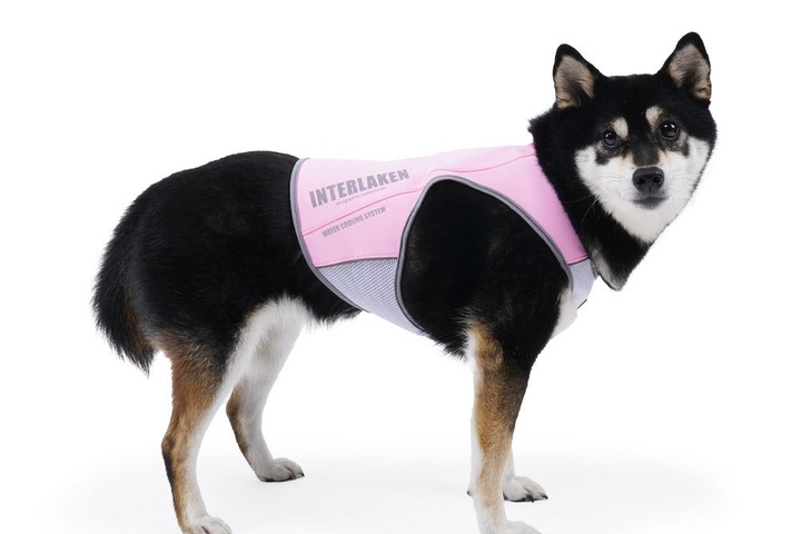 강아지 패션 인터라켄 강아지 쿨조끼 여름옷 오늘의집 쇼핑
