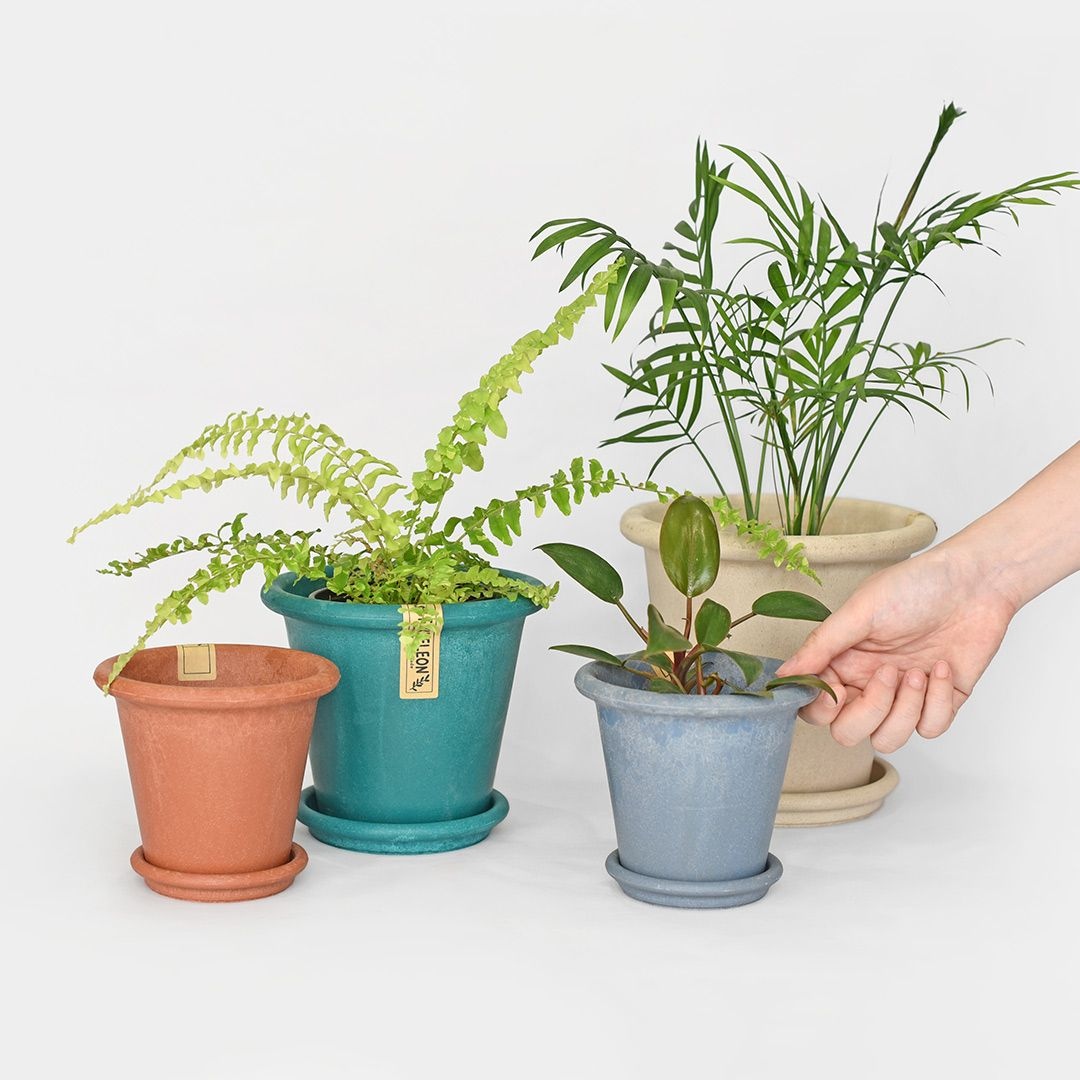 화병·화분 에코팟 인테리어 컬러 화분 받침 세트 4sizes 오늘의집 쇼핑