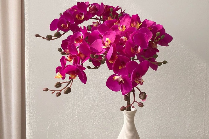 조화 > bookaz 호접란 조화 2color | 오늘의집 쇼핑