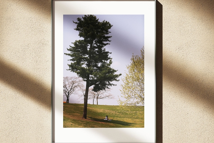 그림·사진 봄풍경 감성 포스터 인테리어 액자 Signature Edition 022 오늘의집 쇼핑