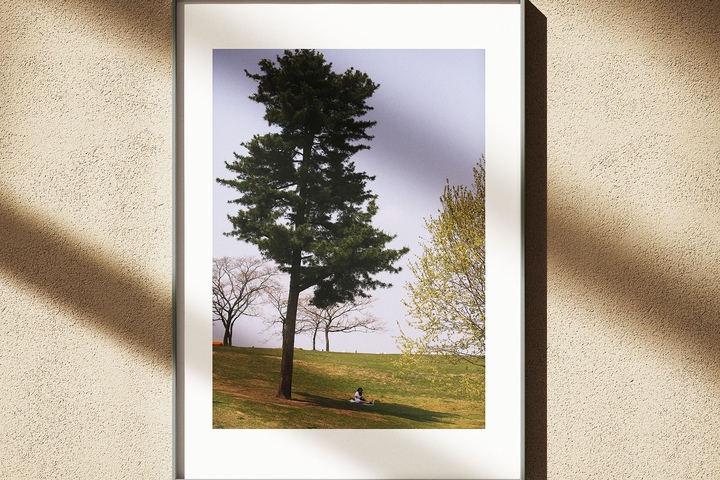 그림·사진 봄풍경 감성 포스터 인테리어 액자 Signature Edition 022 오늘의집 쇼핑